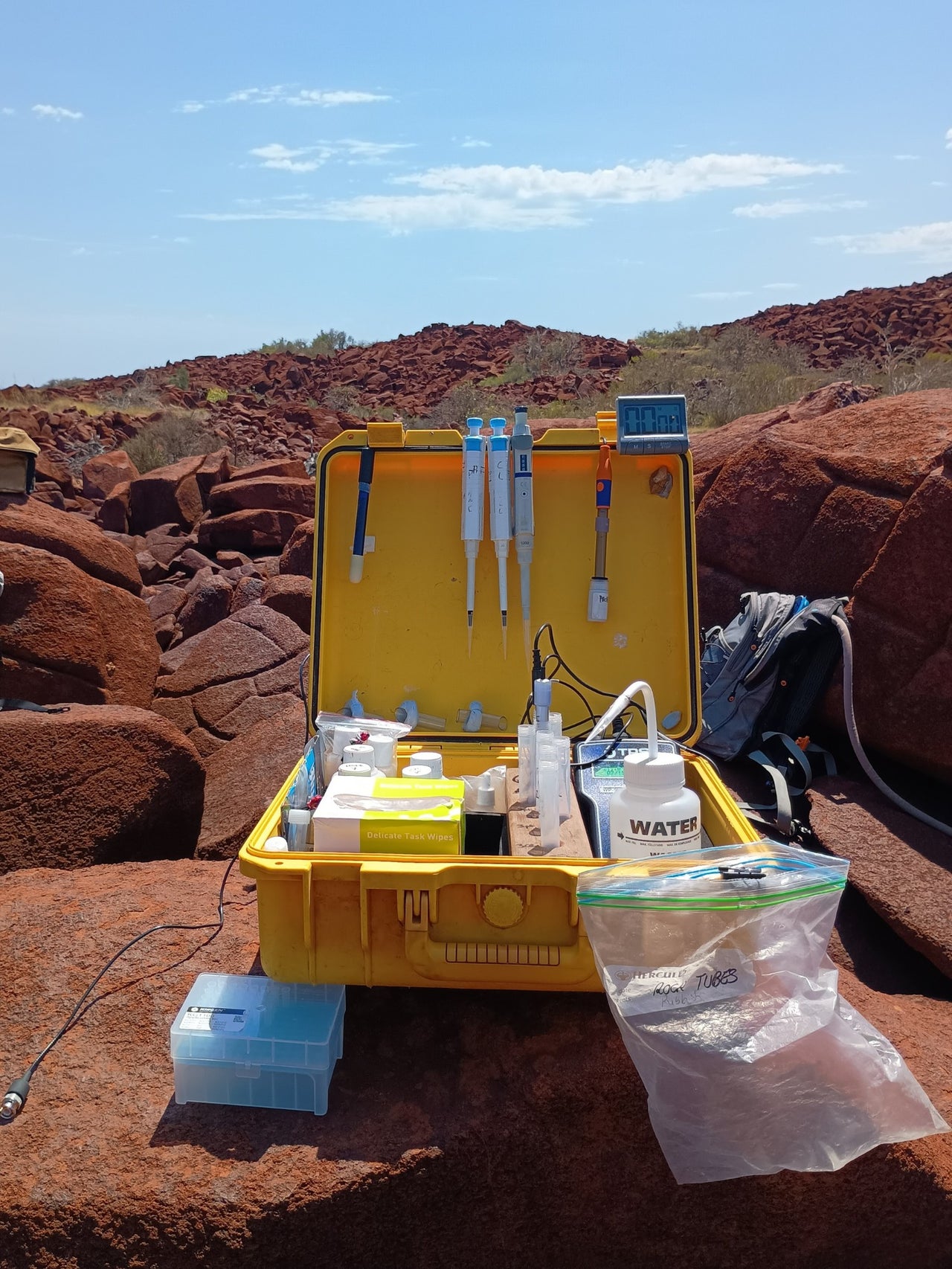 Case Study | Curtin University - Murujuga Rock Art Monitoring Program ...